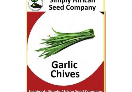 Garlic Chive Seeds - Simply African Seed Company