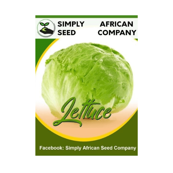 Lettuce (Iceberg) Seeds – Simply African Seed Company