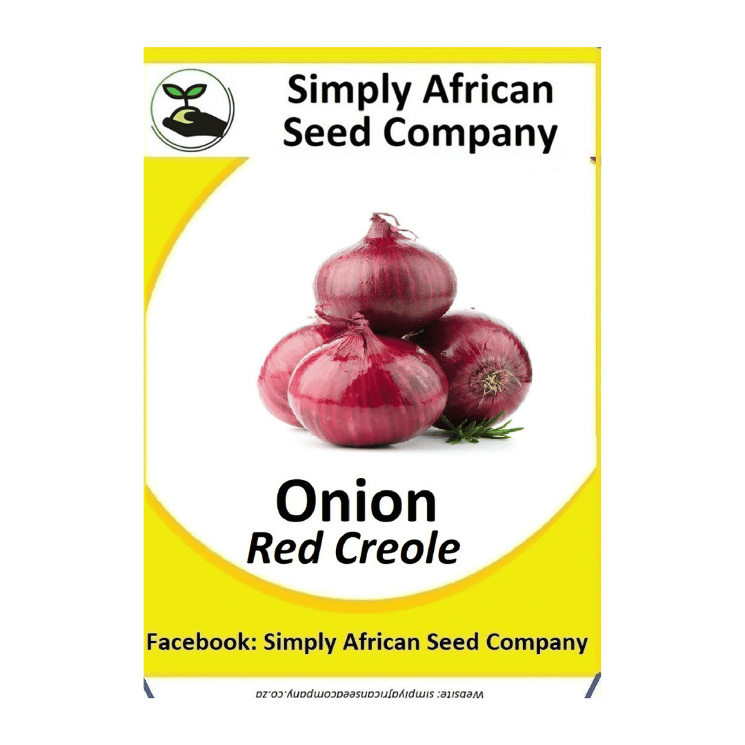 Onion Red Creole Seeds - simplyafricanseedcompany