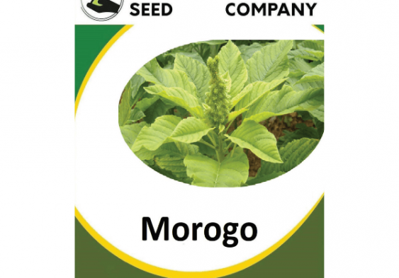 Morogo Seeds - Simply African Seed Company