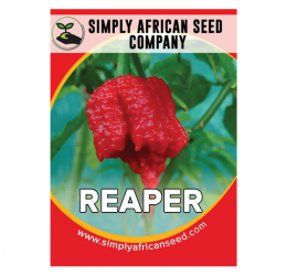 African Birds Eye Chilli Seeds – Simply African Seed Company