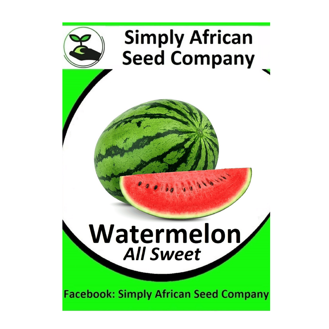 Watermelon (All Sweet) Seeds - Simply African Seed Company